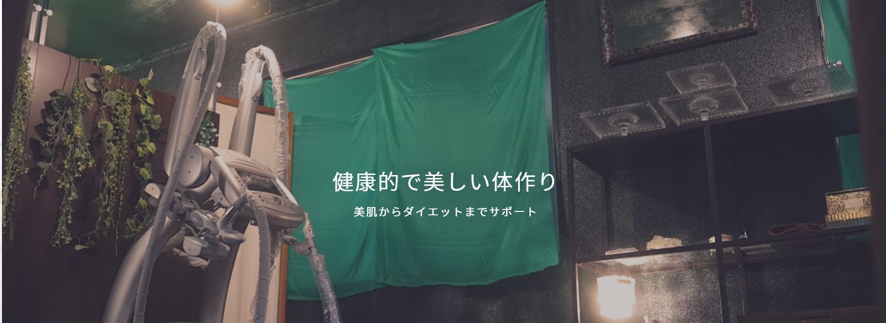 エンダモロジー専門店 HERBS｜息抜きふーせんがむ